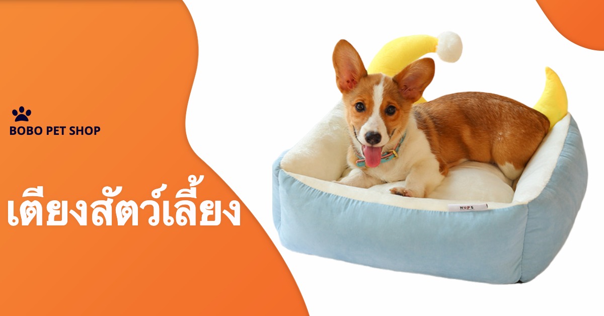BOBO Pets Shop, ร้านค้าออนไลน์ | Shopee Thailand