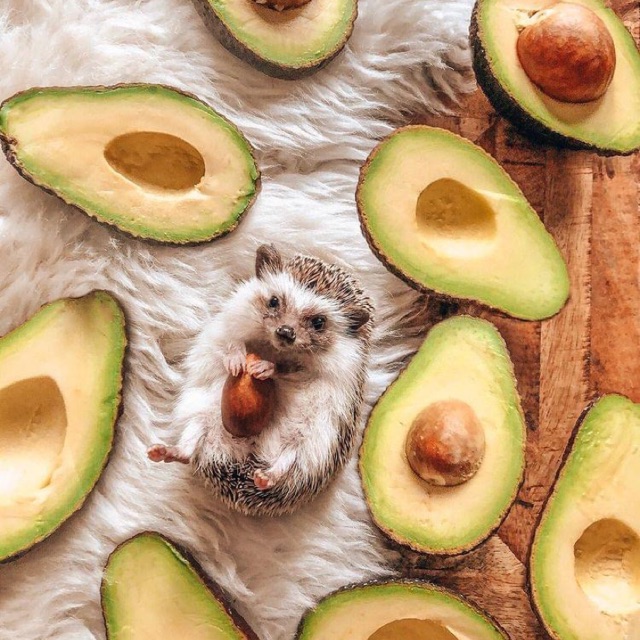 Ellejoy, ร้านค้าออนไลน์ | Shopee Thailand