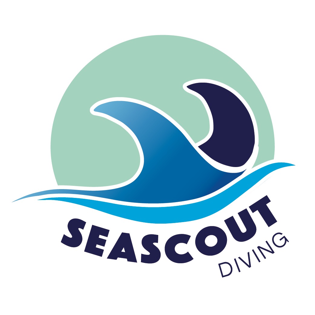 Seascout Shop, ร้านค้าออนไลน์ | Shopee Thailand