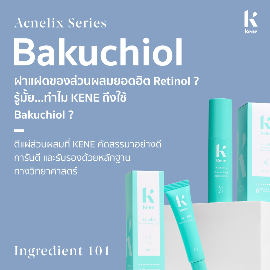 KENE Official, ร้านค้าออนไลน์ | Shopee Thailand