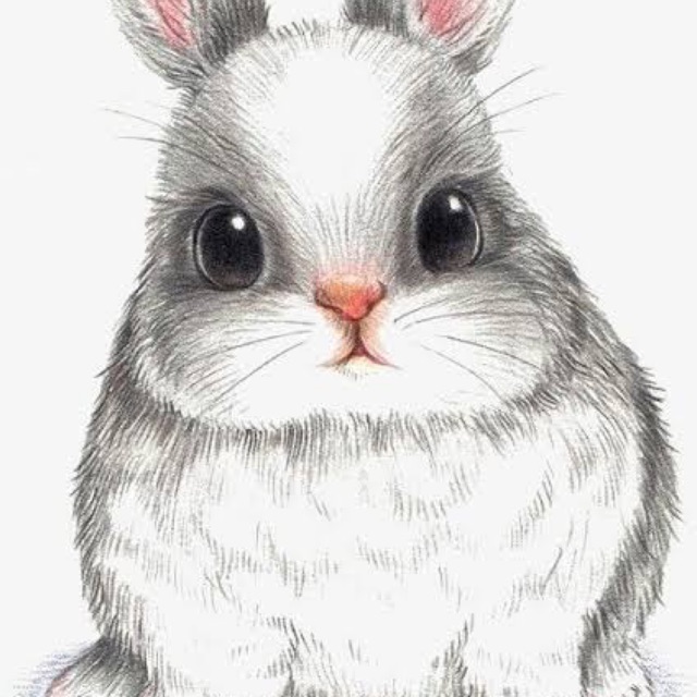 phaak, ร้านค้าออนไลน์ | Shopee Thailand