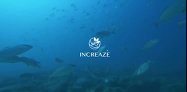 สั่งซื้อสินค้าออนไลน์จาก INCREAZE' | Shopee Thailand