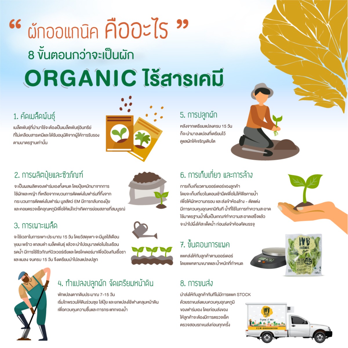 สั่งซื้อสินค้าออนไลน์จาก WB Organic Farm Official | Shopee Thailand