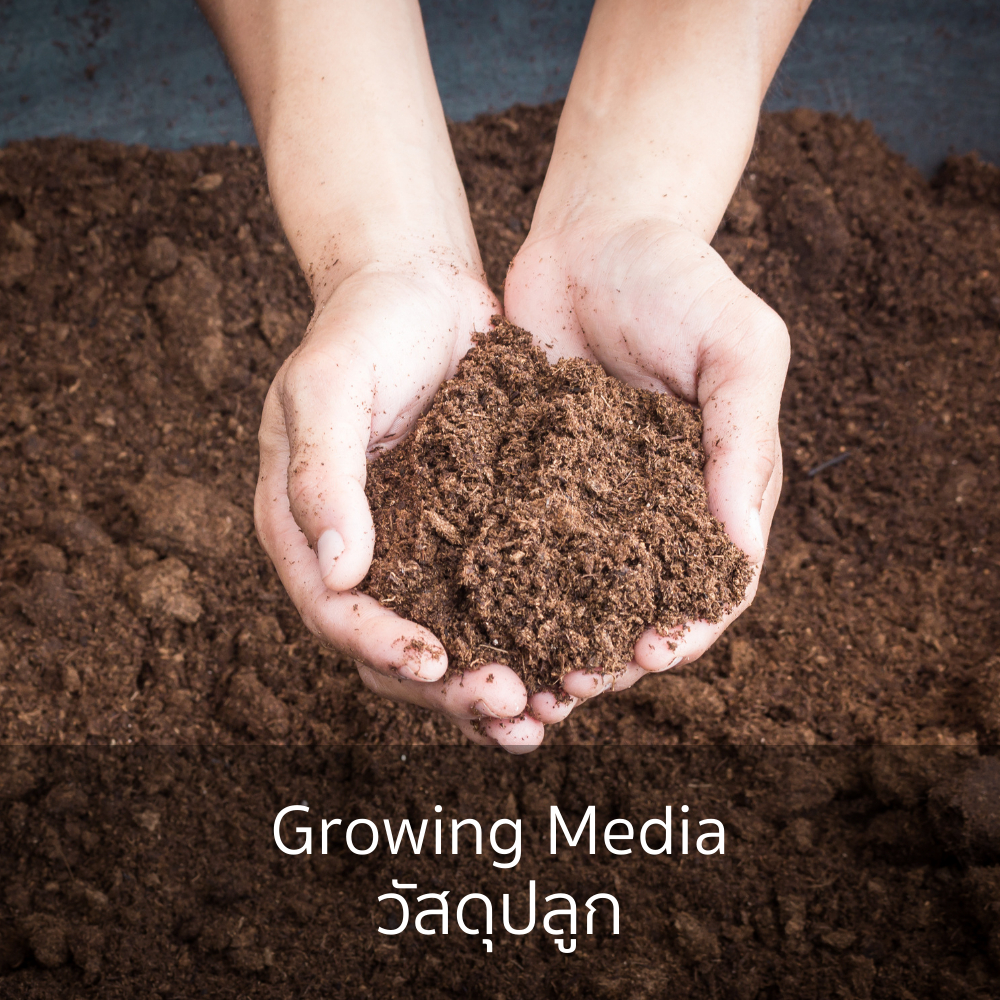 Vitamin Tree, ร้านค้าออนไลน์ | Shopee Thailand