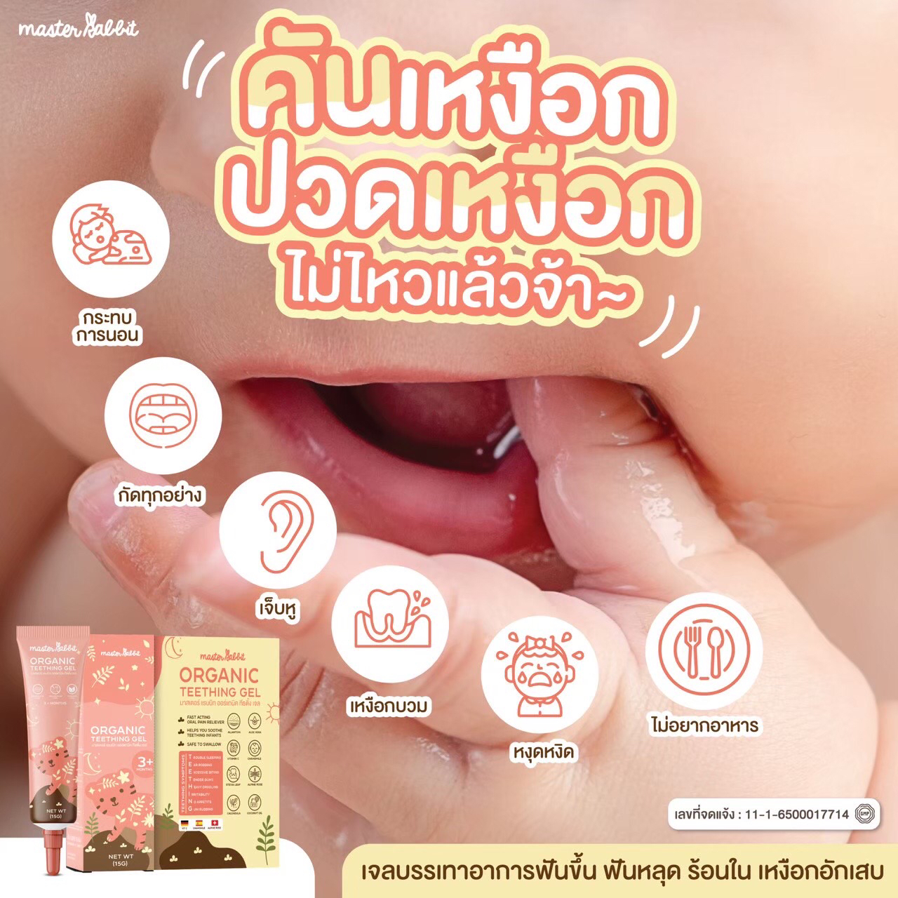 Master Rabbit TH, ร้านค้าออนไลน์ | Shopee Thailand