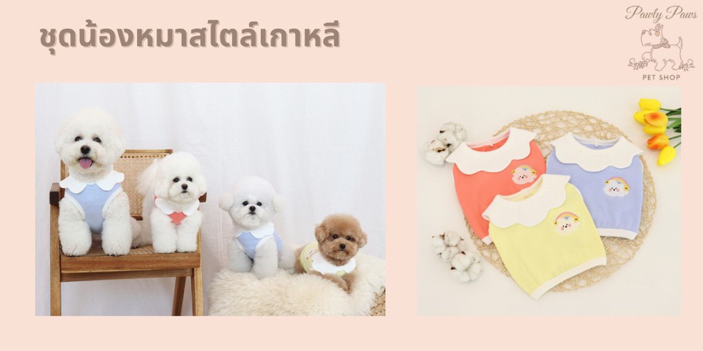 Pawly Paws, ร้านค้าออนไลน์ | Shopee Thailand