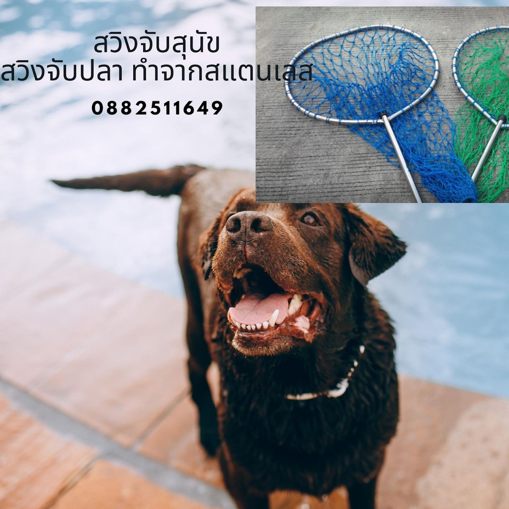 Patcharee Chantip, ร้านค้าออนไลน์ | Shopee Thailand