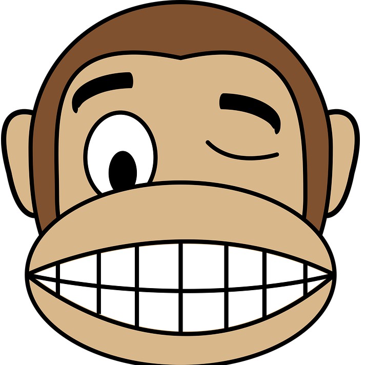 Smiley_Monkey, ร้านค้าออนไลน์ | Shopee Thailand