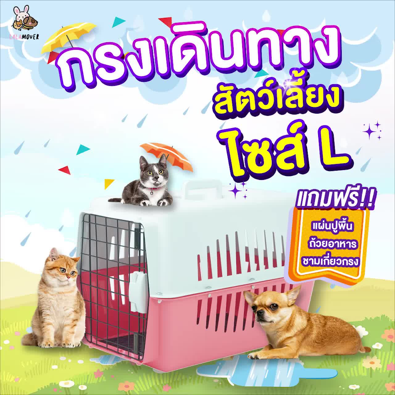 ลาล่ามูฟเวอร์ Lala Mover, ร้านค้าออนไลน์ | Shopee Thailand