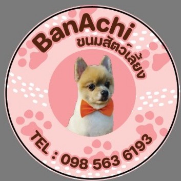 BanAchi ขนมสัตว์เลี้ยง, ร้านค้าออนไลน์ | Shopee Thailand