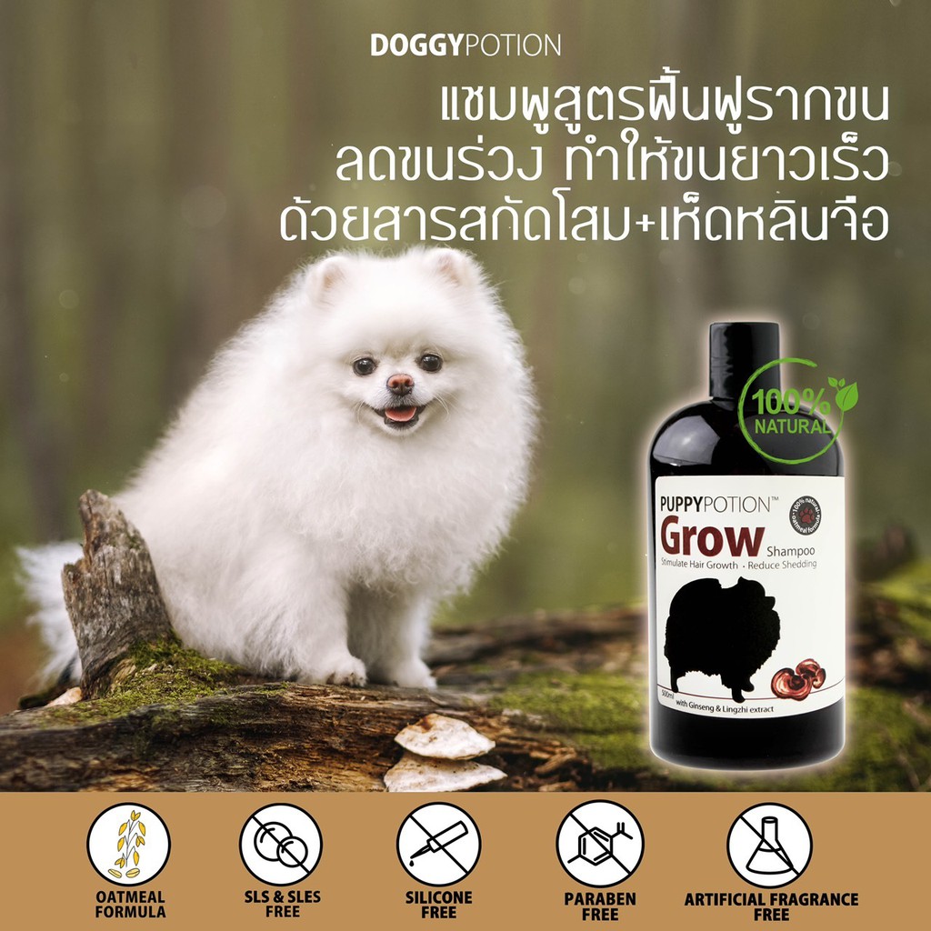 สั่งซื้อสินค้าออนไลน์จาก DOGGY POTION Official Store | Shopee Thailand