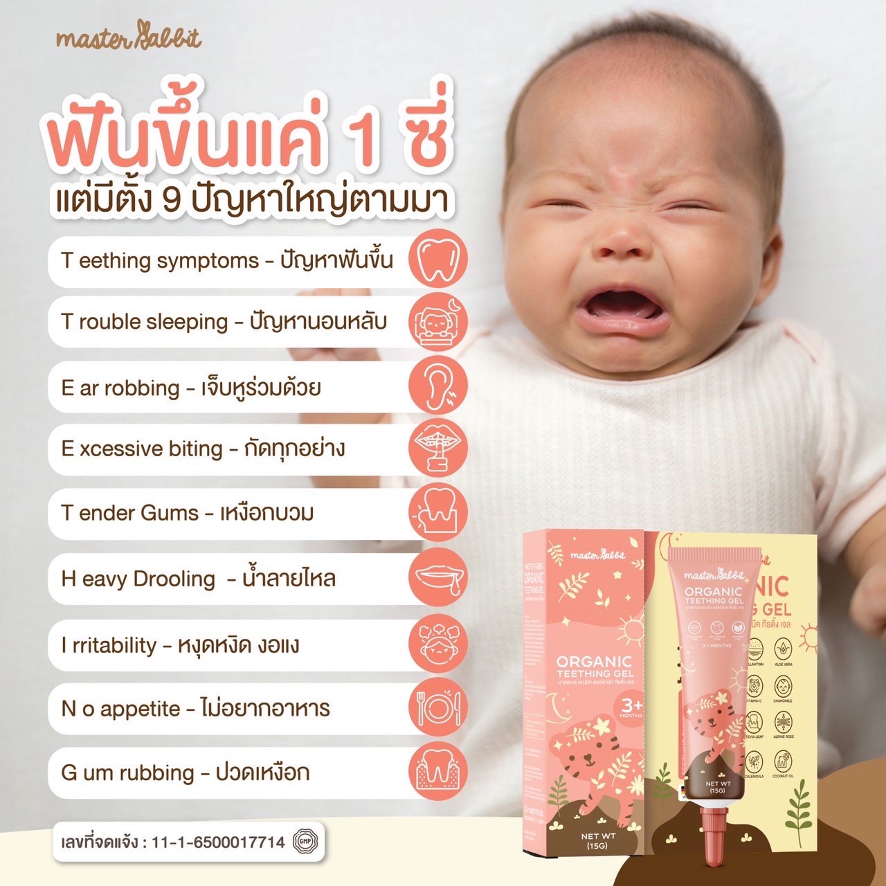 Master Rabbit TH, ร้านค้าออนไลน์ | Shopee Thailand