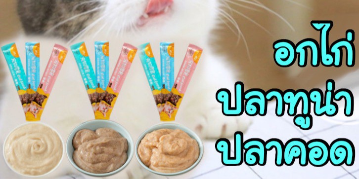Cat Food Official, ร้านค้าออนไลน์ | Shopee Thailand