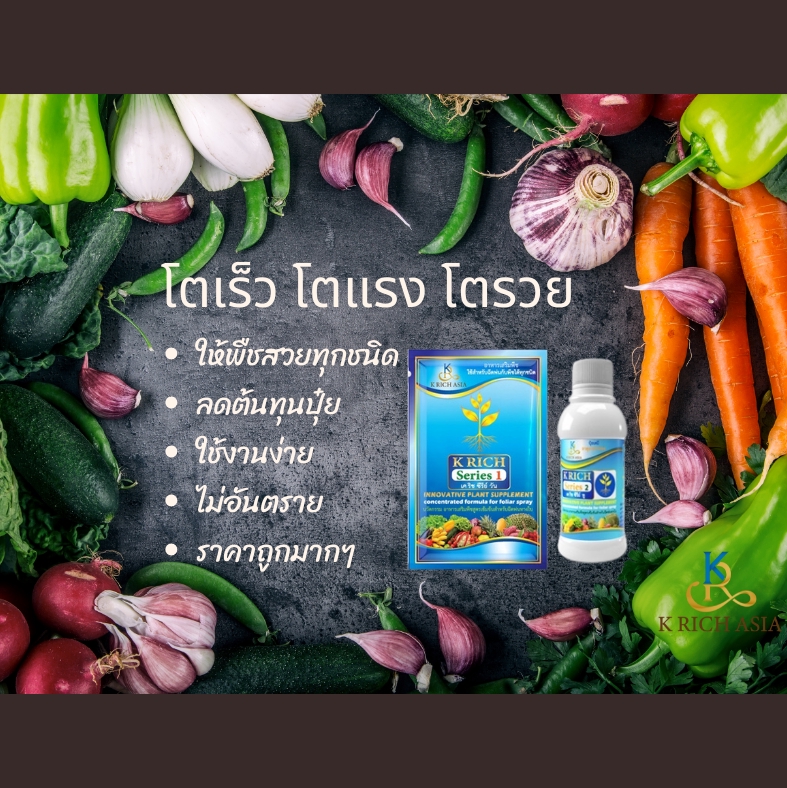 Magnate Shop, ร้านค้าออนไลน์ | Shopee Thailand