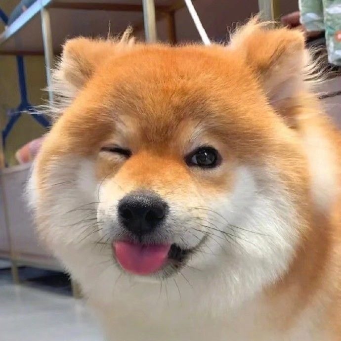 CDC.SHOP.TH, ร้านค้าออนไลน์ | Shopee Thailand