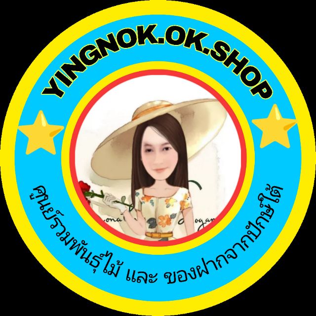NOK OK Shop, ร้านค้าออนไลน์ | Shopee Thailand