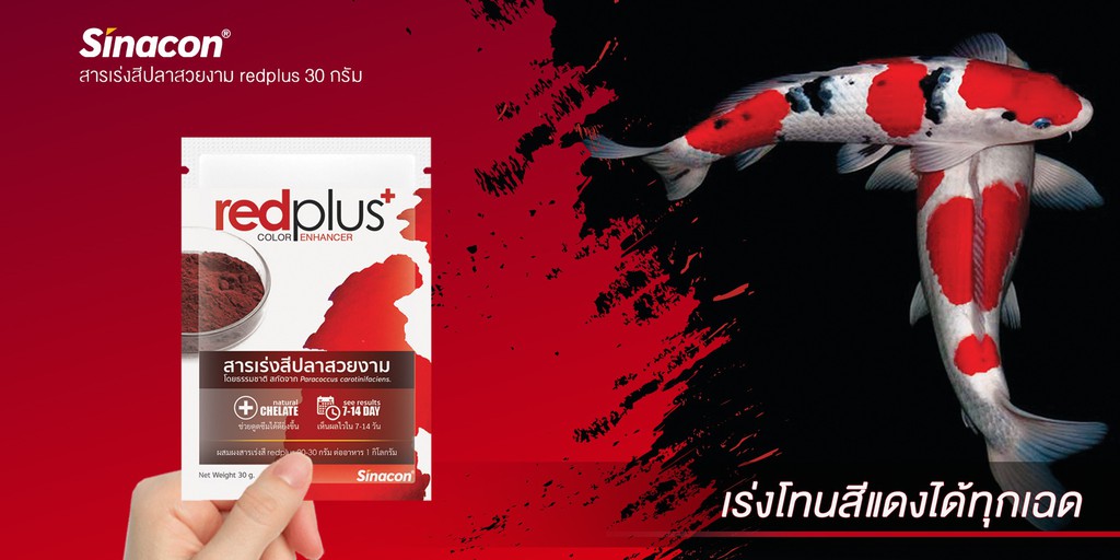 Sinacon Official Shop, ร้านค้าออนไลน์ | Shopee Thailand