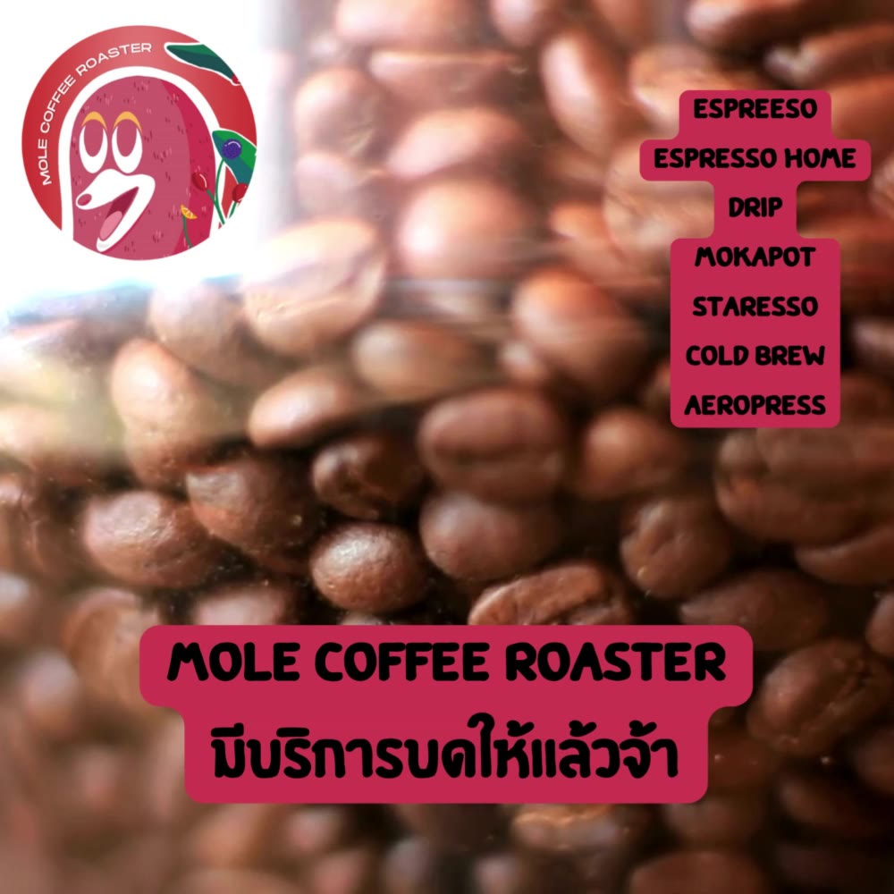 Mole Coffee Roaster, ร้านค้าออนไลน์ | Shopee Thailand