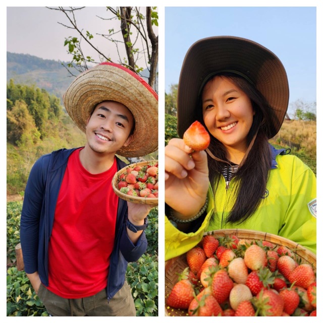 lanaland, ร้านค้าออนไลน์ | Shopee Thailand