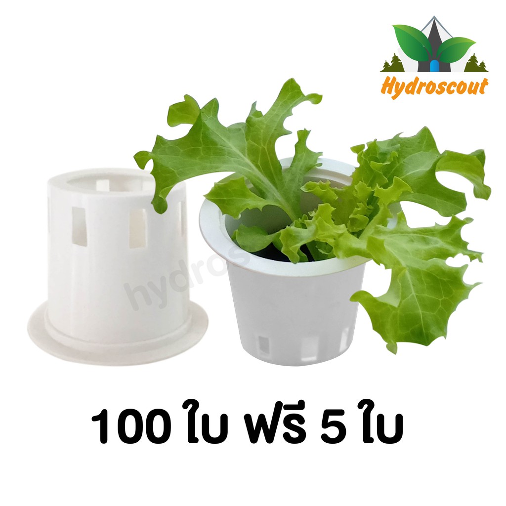 Hydroscout, ร้านค้าออนไลน์ | Shopee Thailand
