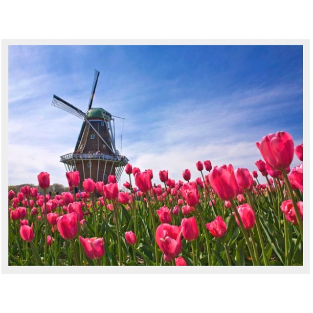 bosert, ร้านค้าออนไลน์ | Shopee Thailand