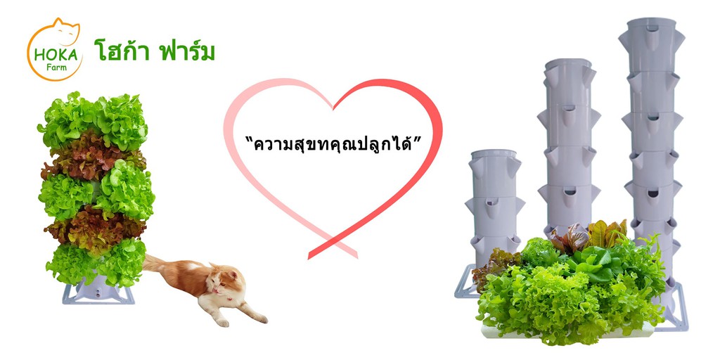 HOKA Farm, ร้านค้าออนไลน์ | Shopee Thailand
