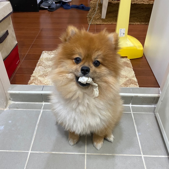 Linux, ร้านค้าออนไลน์ | Shopee Thailand