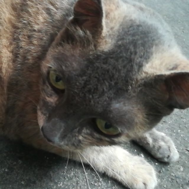 Tucky_th, ร้านค้าออนไลน์ | Shopee Thailand