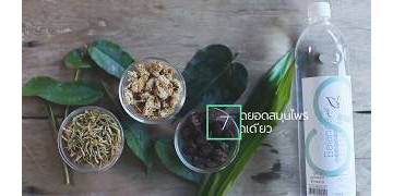 Coolinggreen คูลลิ่งกรีน , ร้านค้าออนไลน์ | Shopee Thailand