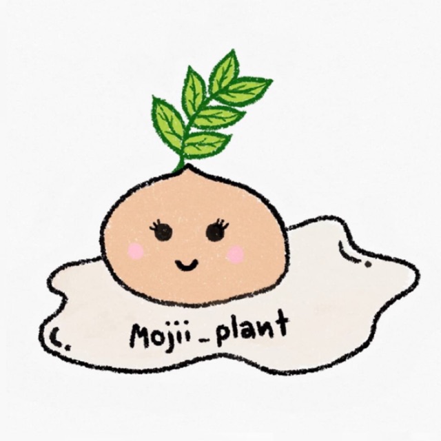 Moji Plant, ร้านค้าออนไลน์ | Shopee Thailand
