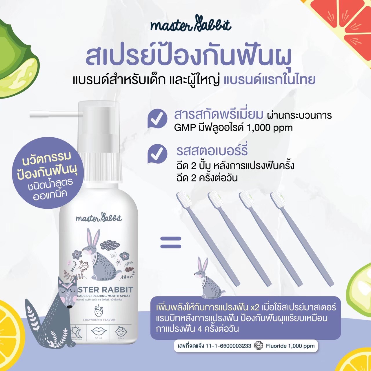 Master Rabbit TH, ร้านค้าออนไลน์ | Shopee Thailand