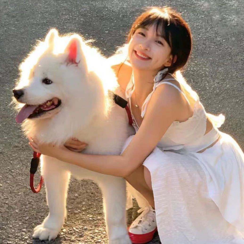 xingdailu.th, ร้านค้าออนไลน์ | Shopee Thailand