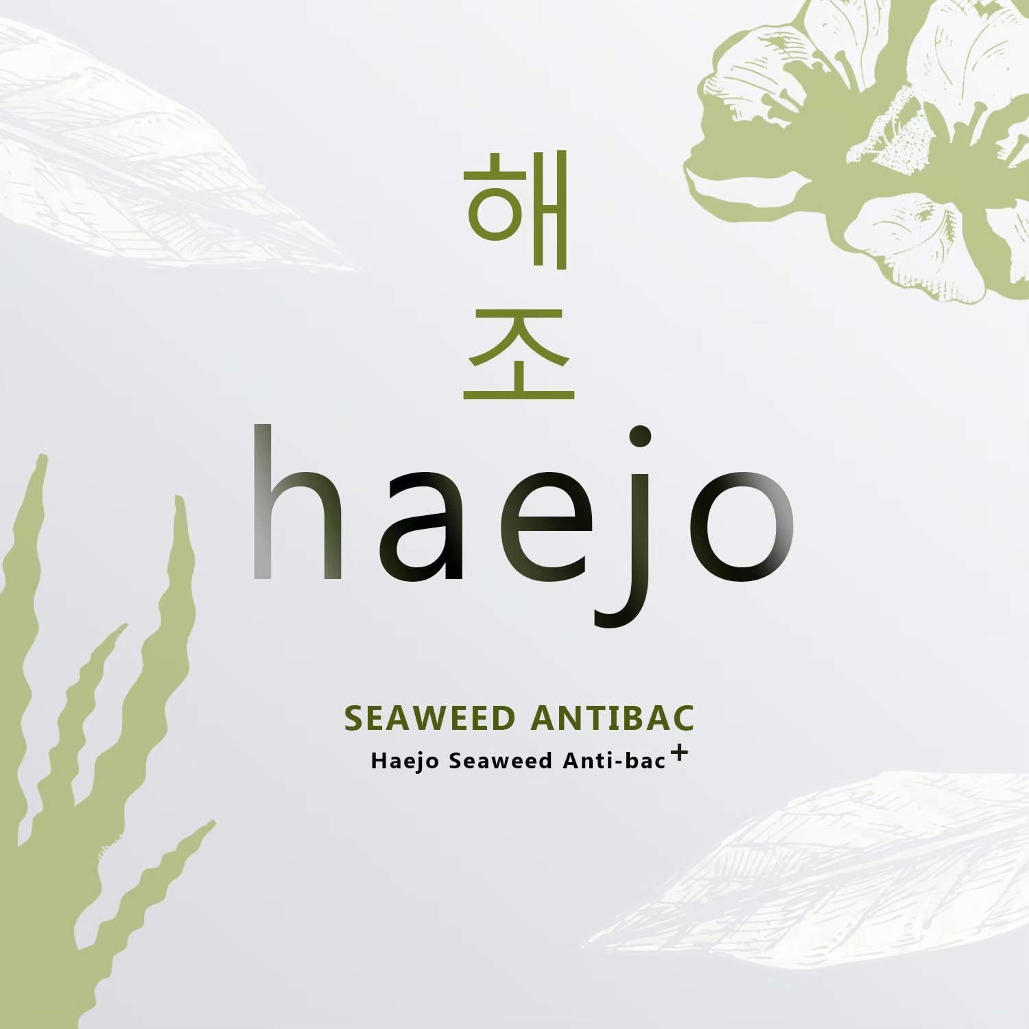 สั่งซื้อสินค้าออนไลน์จาก Hae’Jo Officialshop | Shopee Thailand