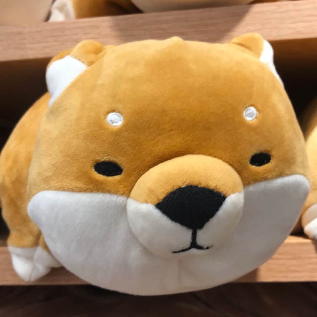 Y.Bear, ร้านค้าออนไลน์ | Shopee Thailand