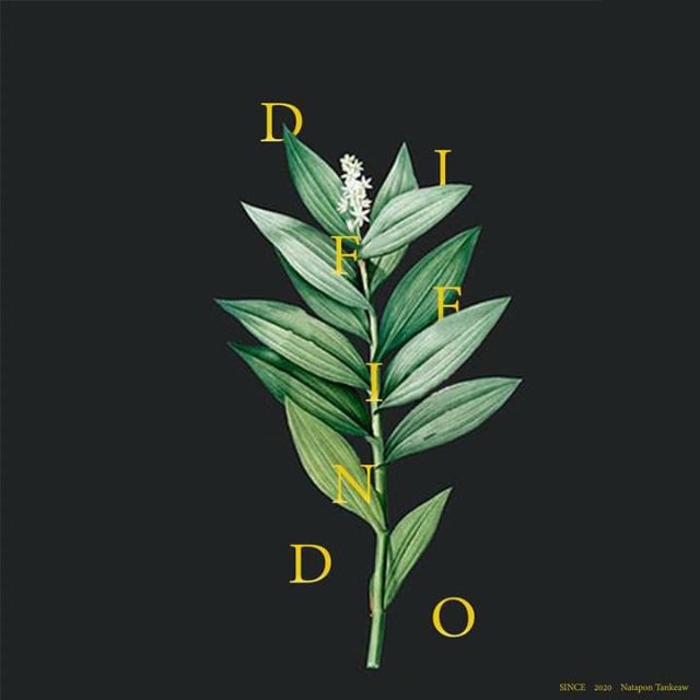 Diffindo Shop, ร้านค้าออนไลน์ | Shopee Thailand