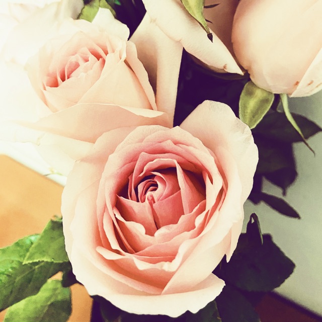 lisa_nice, ร้านค้าออนไลน์ | Shopee Thailand