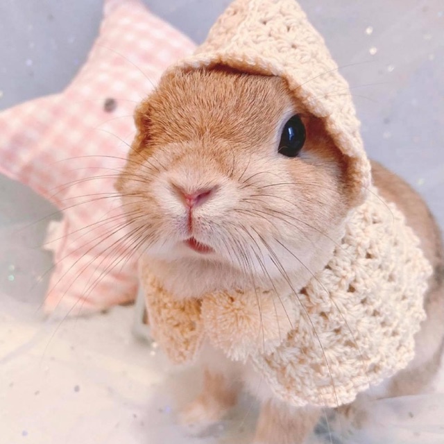 Rose.rr, ร้านค้าออนไลน์ | Shopee Thailand