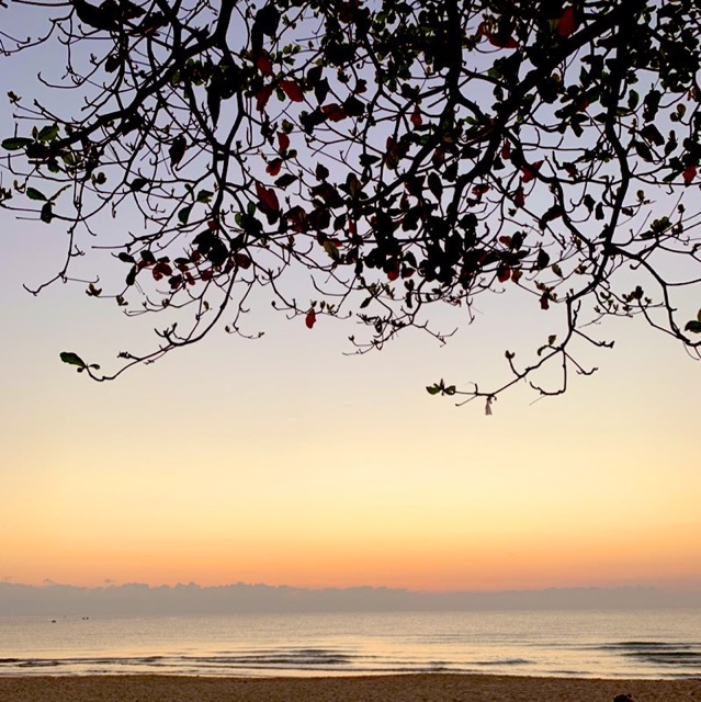 jebellbell, ร้านค้าออนไลน์ | Shopee Thailand