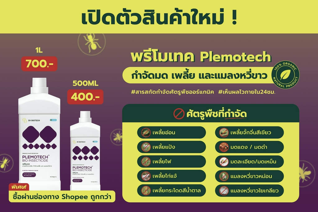 SV BIOTECH, ร้านค้าออนไลน์ | Shopee Thailand