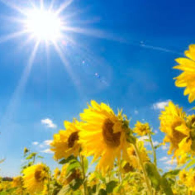 sunny.ph, ร้านค้าออนไลน์ | Shopee Thailand