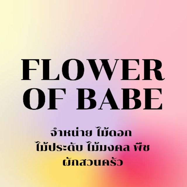 numhom_, ร้านค้าออนไลน์ | Shopee Thailand