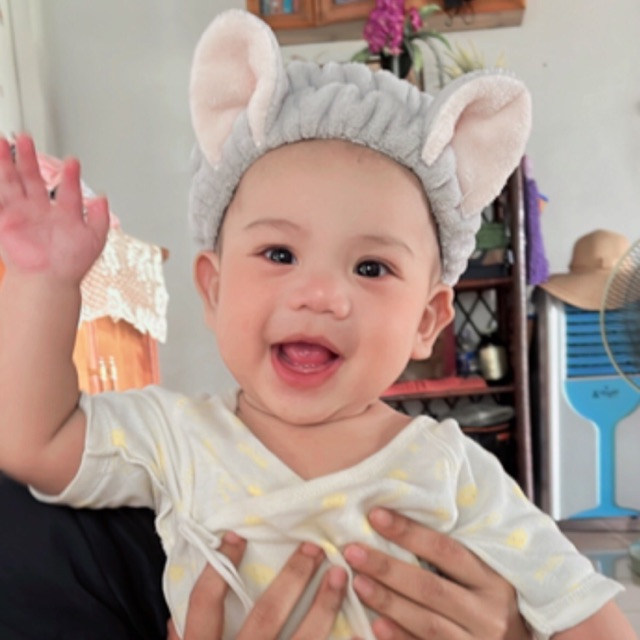 wisine, ร้านค้าออนไลน์ | Shopee Thailand