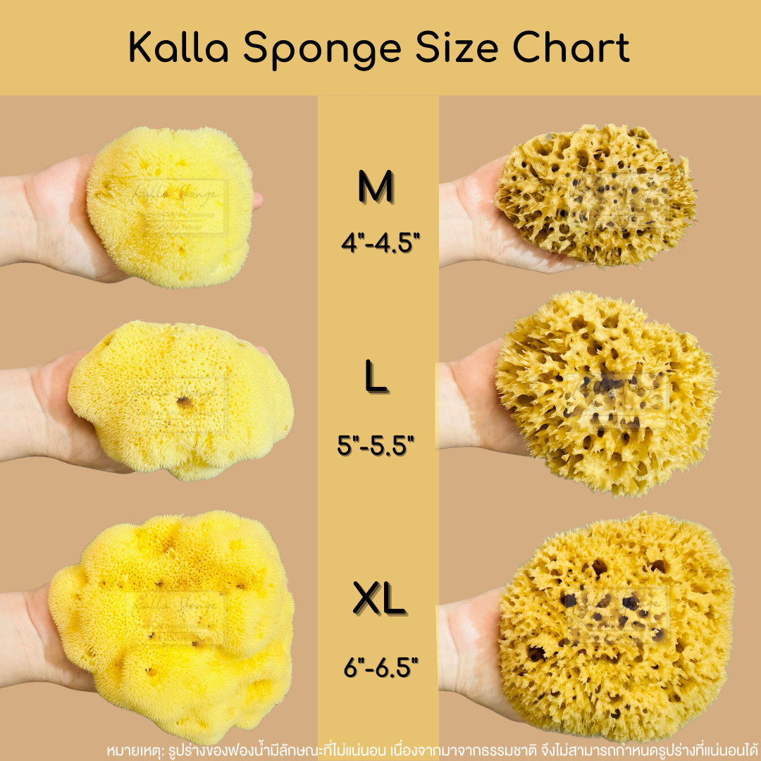 ฟองน้ำธรรมชาติ KALLA SPONGE, ร้านค้าออนไลน์ | Shopee Thailand