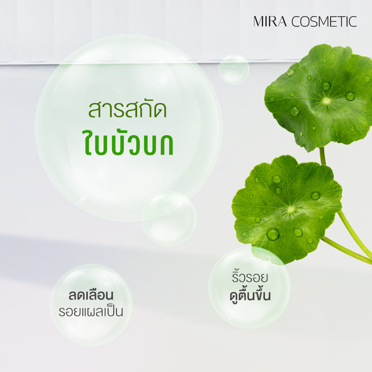 MIRA Cosmetics Official, ร้านค้าออนไลน์ | Shopee Thailand