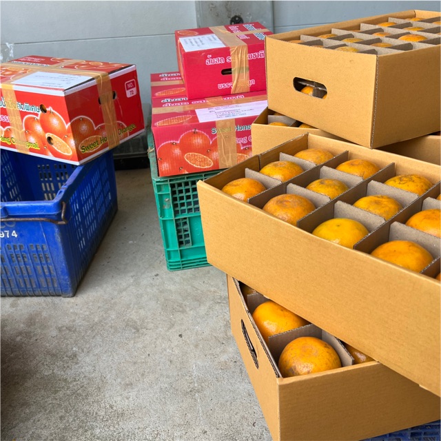 Agri factory, ร้านค้าออนไลน์ | Shopee Thailand