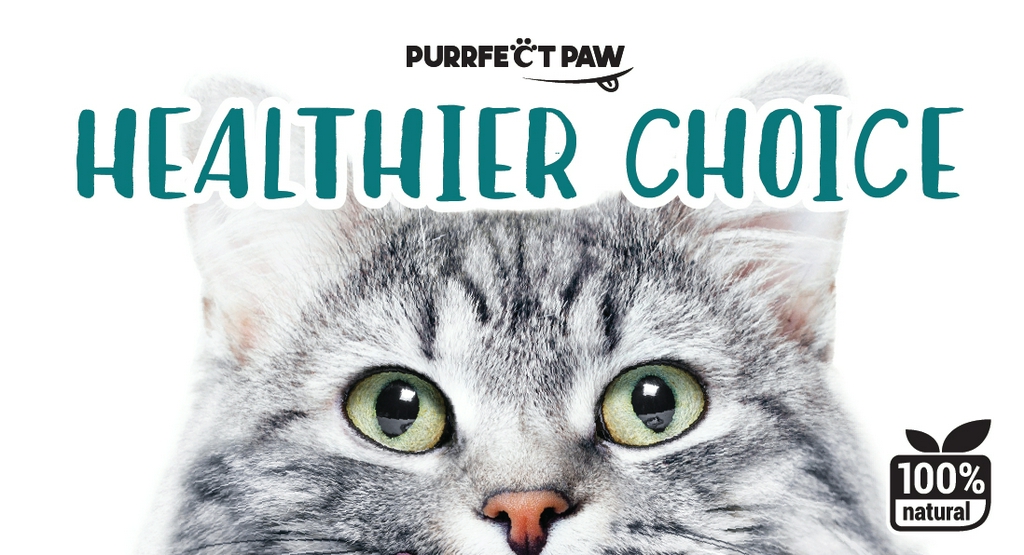Purrfect Paw, ร้านค้าออนไลน์ | Shopee Thailand