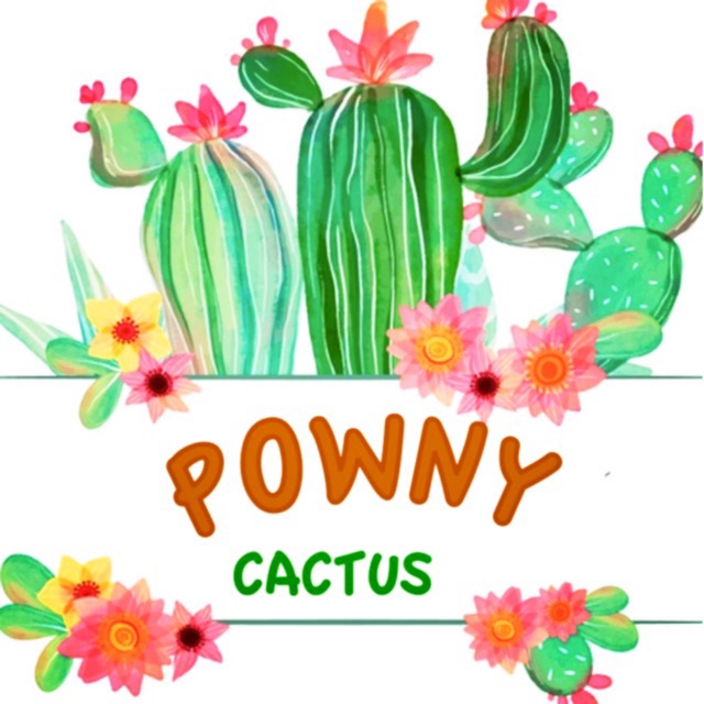 Powny cactus, ร้านค้าออนไลน์ | Shopee Thailand