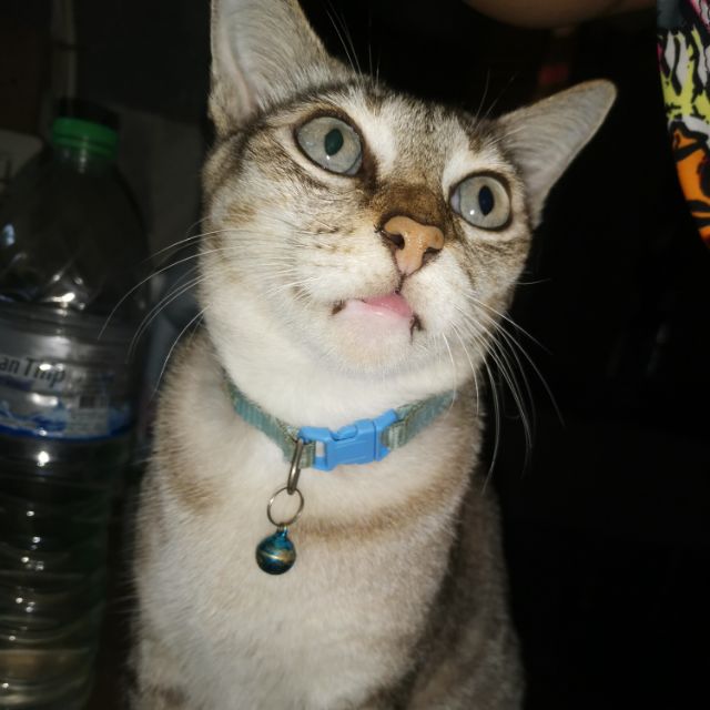 Farest, ร้านค้าออนไลน์ | Shopee Thailand