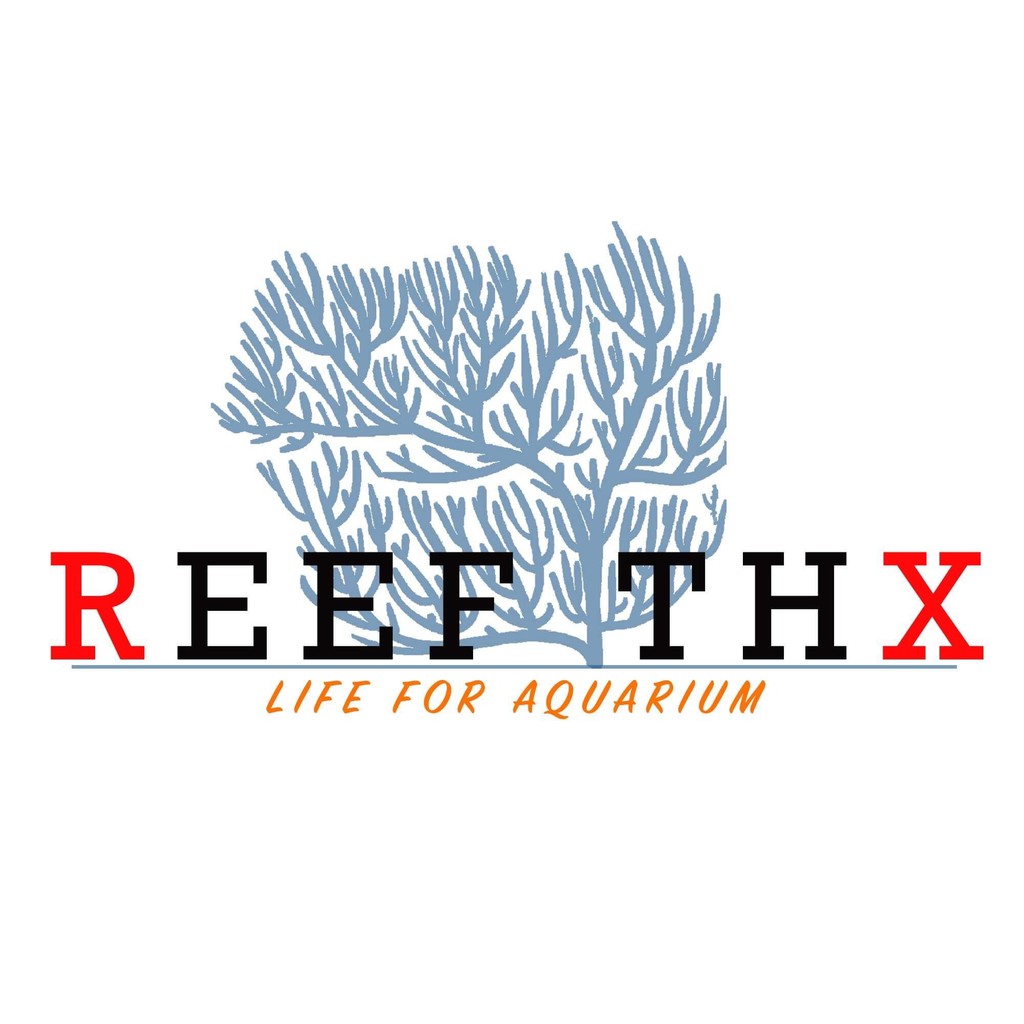 Reef Tools (สรรพสินค้าตู้ปลาทะเล), ร้านค้าออนไลน์ | Shopee Thailand