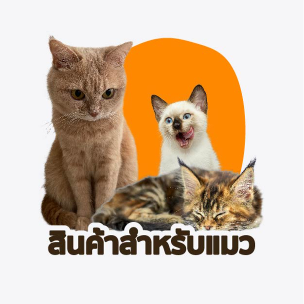 PawSociety Official, ร้านค้าออนไลน์ | Shopee Thailand